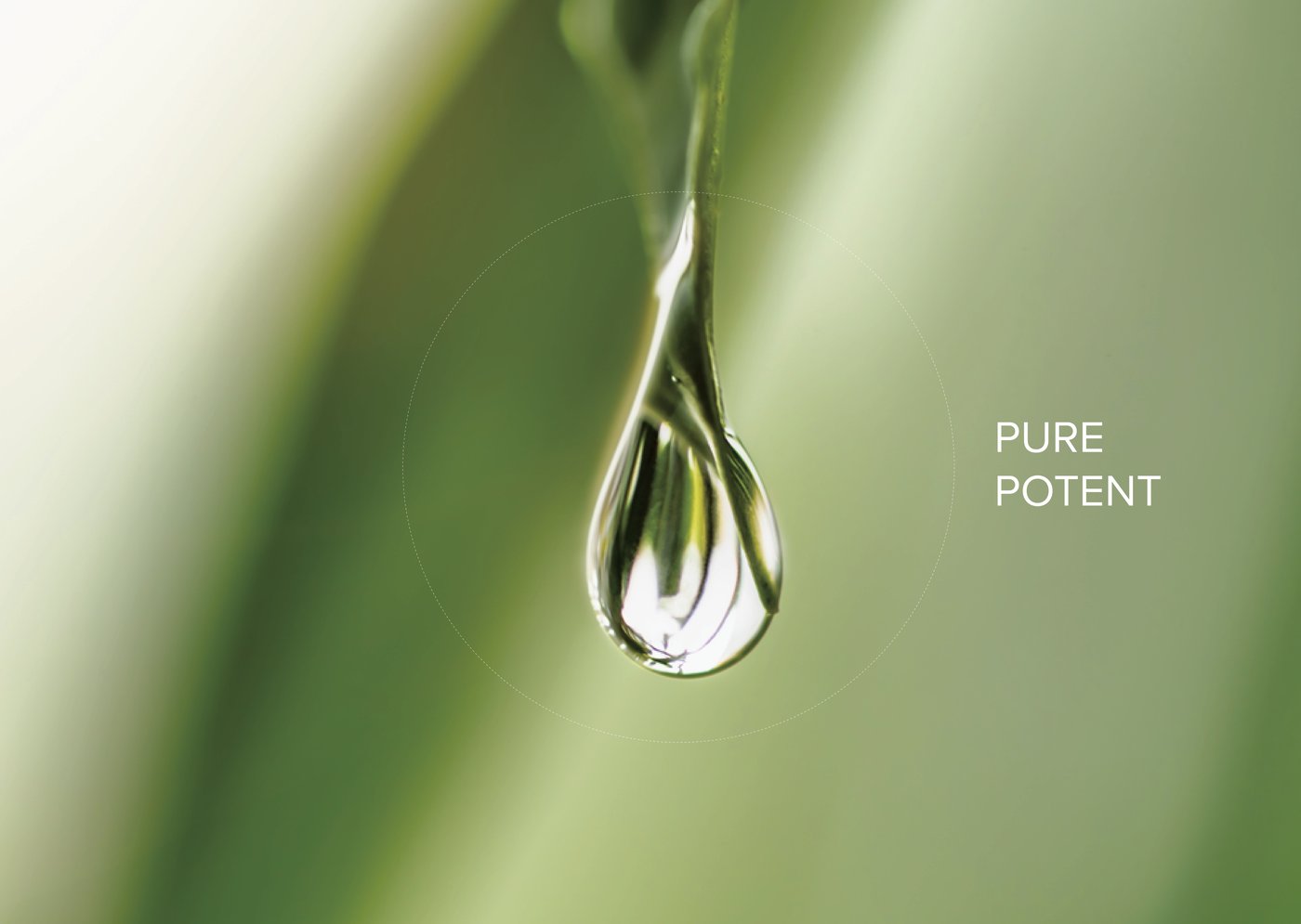 Our Healing Mission & Story | Global Healing